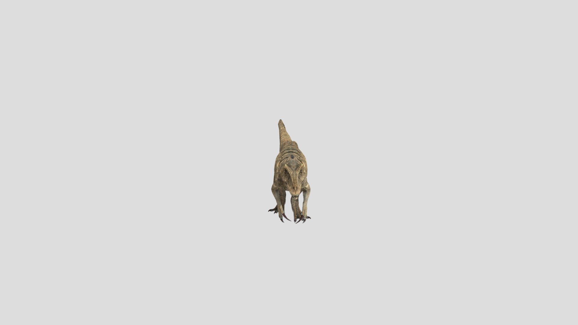 Allosaurus-fragilis - 3D model by Bondex.Gemer [61932da] - Sketchfab