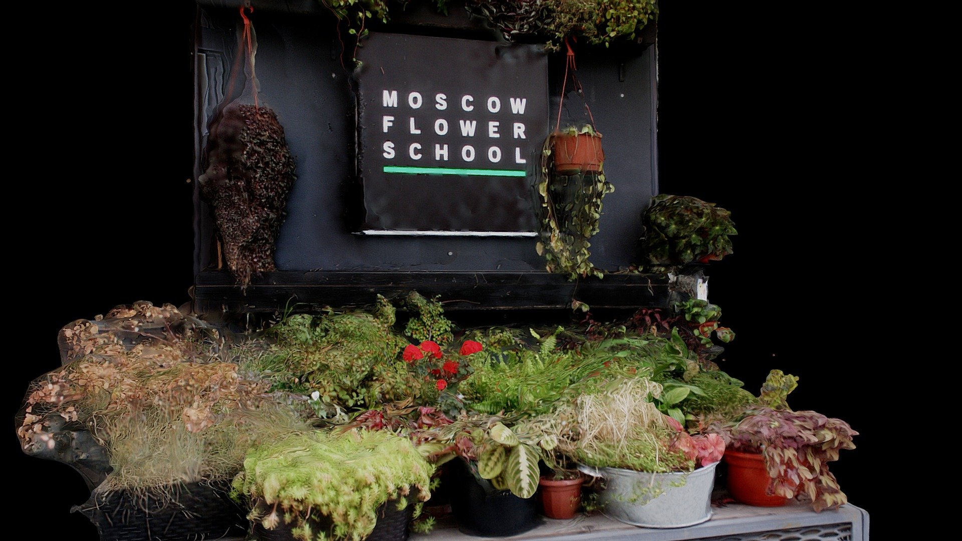 MOSCOW FLOWERS SCHOOL - Download Free 3D model by Nikitos & 3130 ...