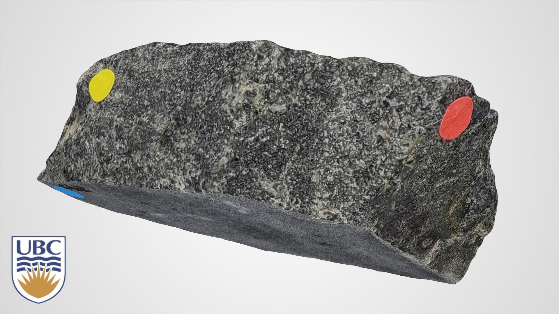 Skaergaard intrusion LZa* (SEB87-240) - 3D model by Nichole Moerhuis ...