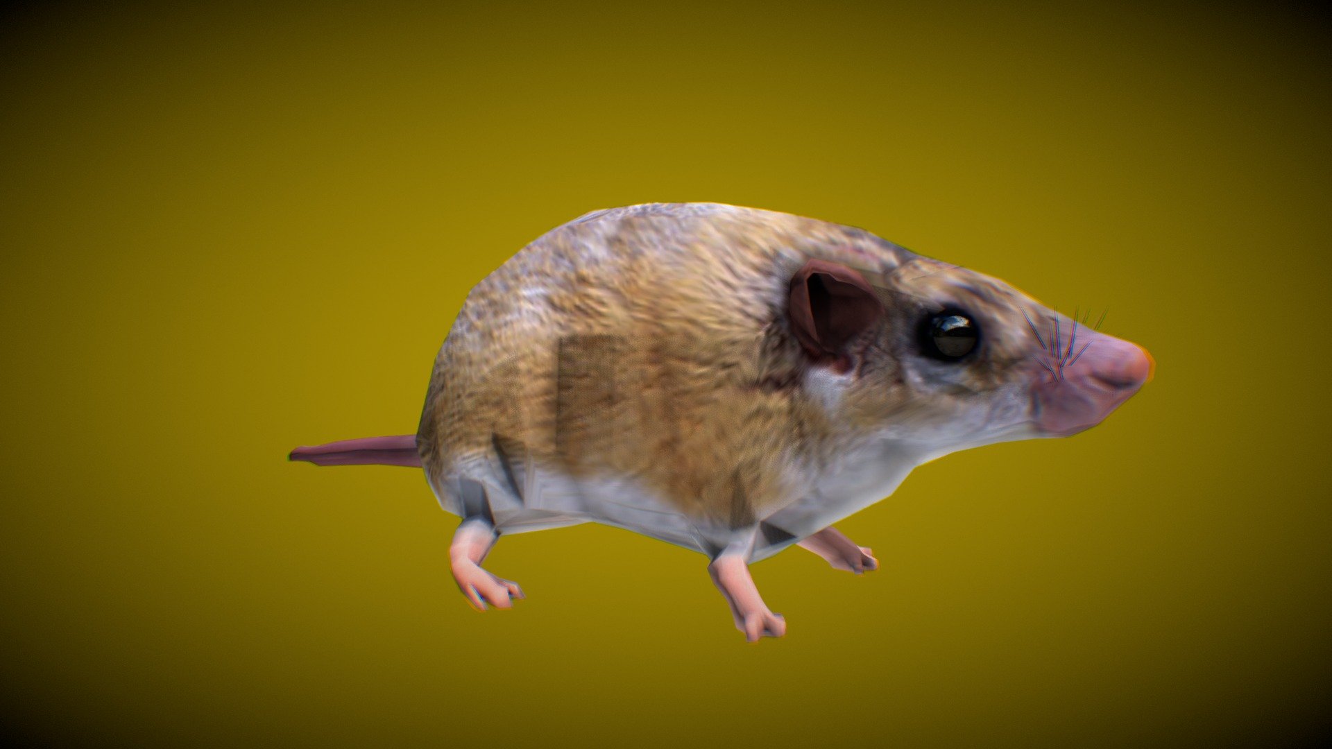 Mouse [LOW POLY] - Buy Royalty Free 3D model by BlueMesh [61a214d ...