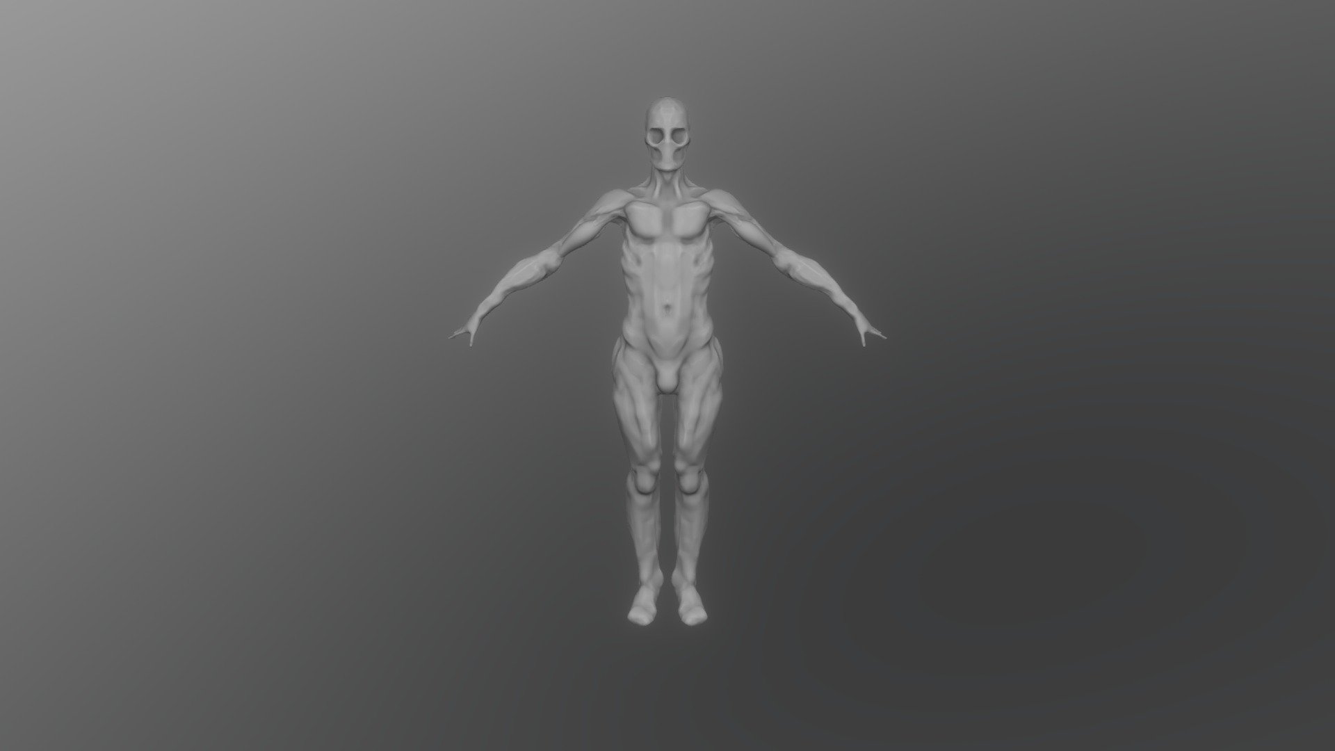 Anatomical Study - 3D model by RyanK1028 [61af3fa] - Sketchfab