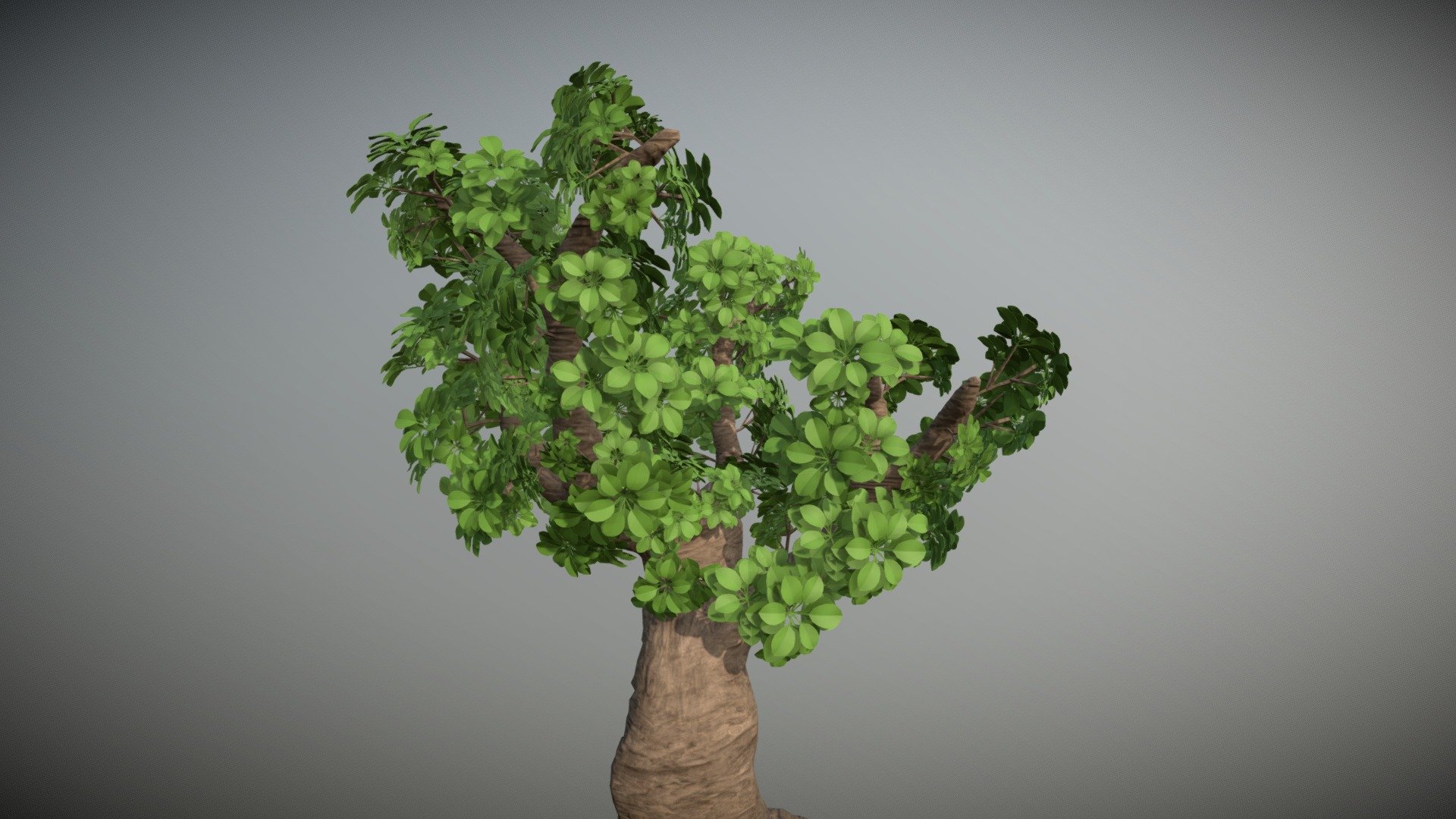 Tree - 3D model by Tung Tran (@MrT2K) [61b8a6d] - Sketchfab