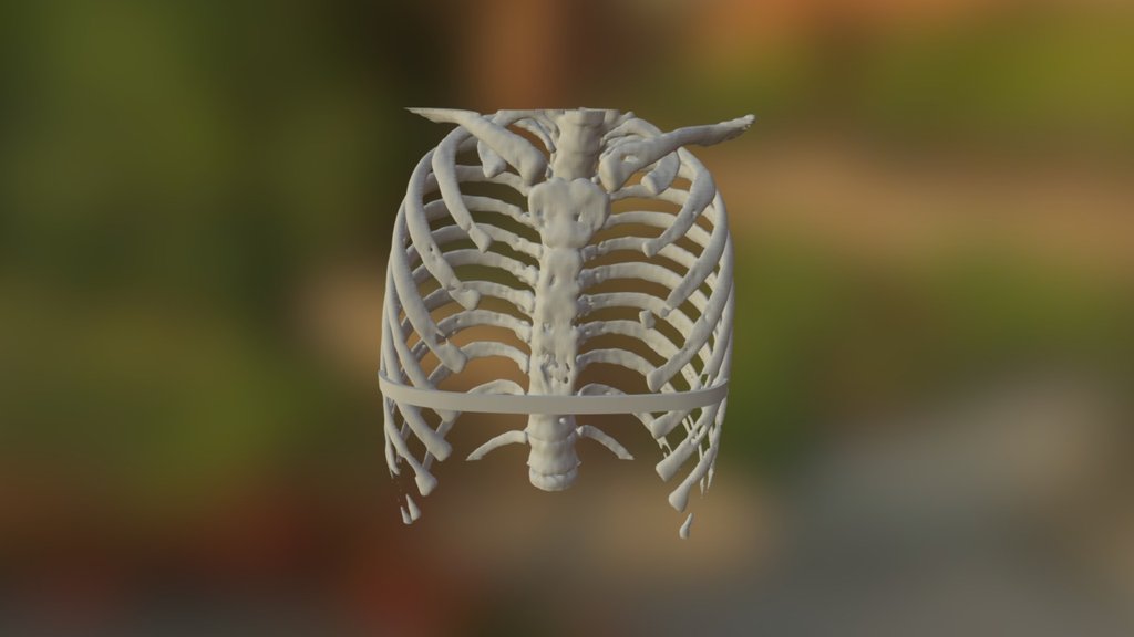 BONE BEND - 3D model by FablabNDMC [61cef3b] - Sketchfab