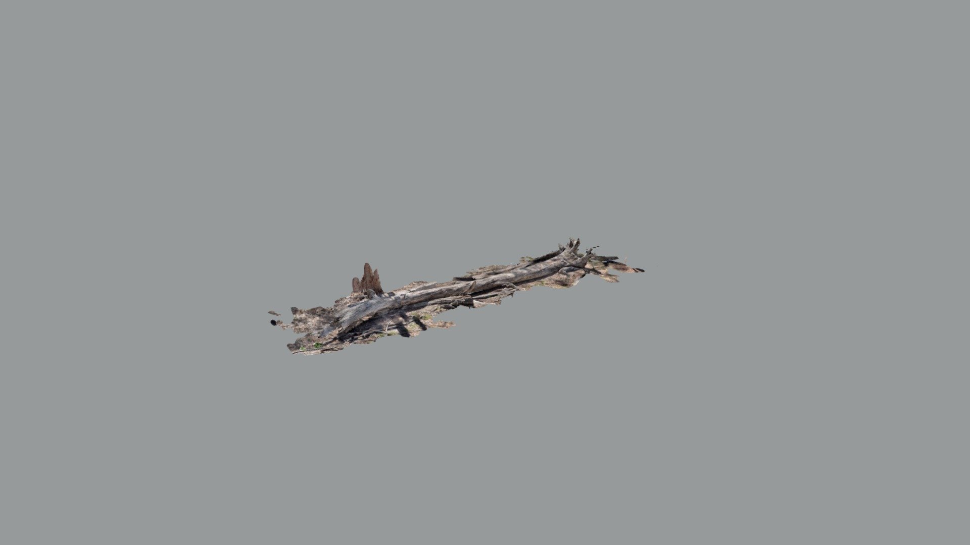 Drought tree - Download Free 3D model by feelab [61d366a] - Sketchfab