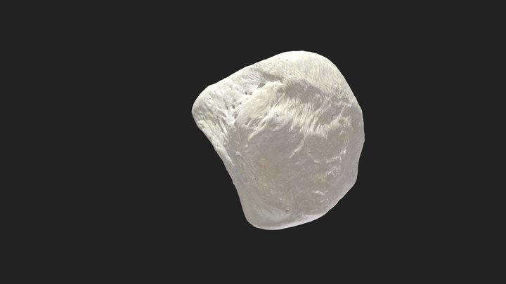 Patella 3D models - Sketchfab