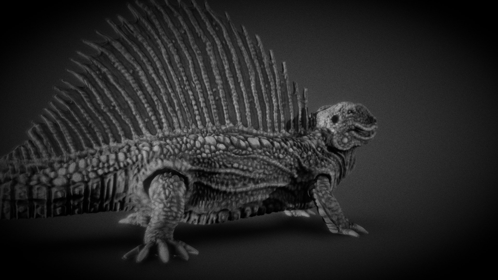 Dimetrodon_v1 - Download Free 3D model by Jorma Rysky (@Rysky) [61e5090 ...