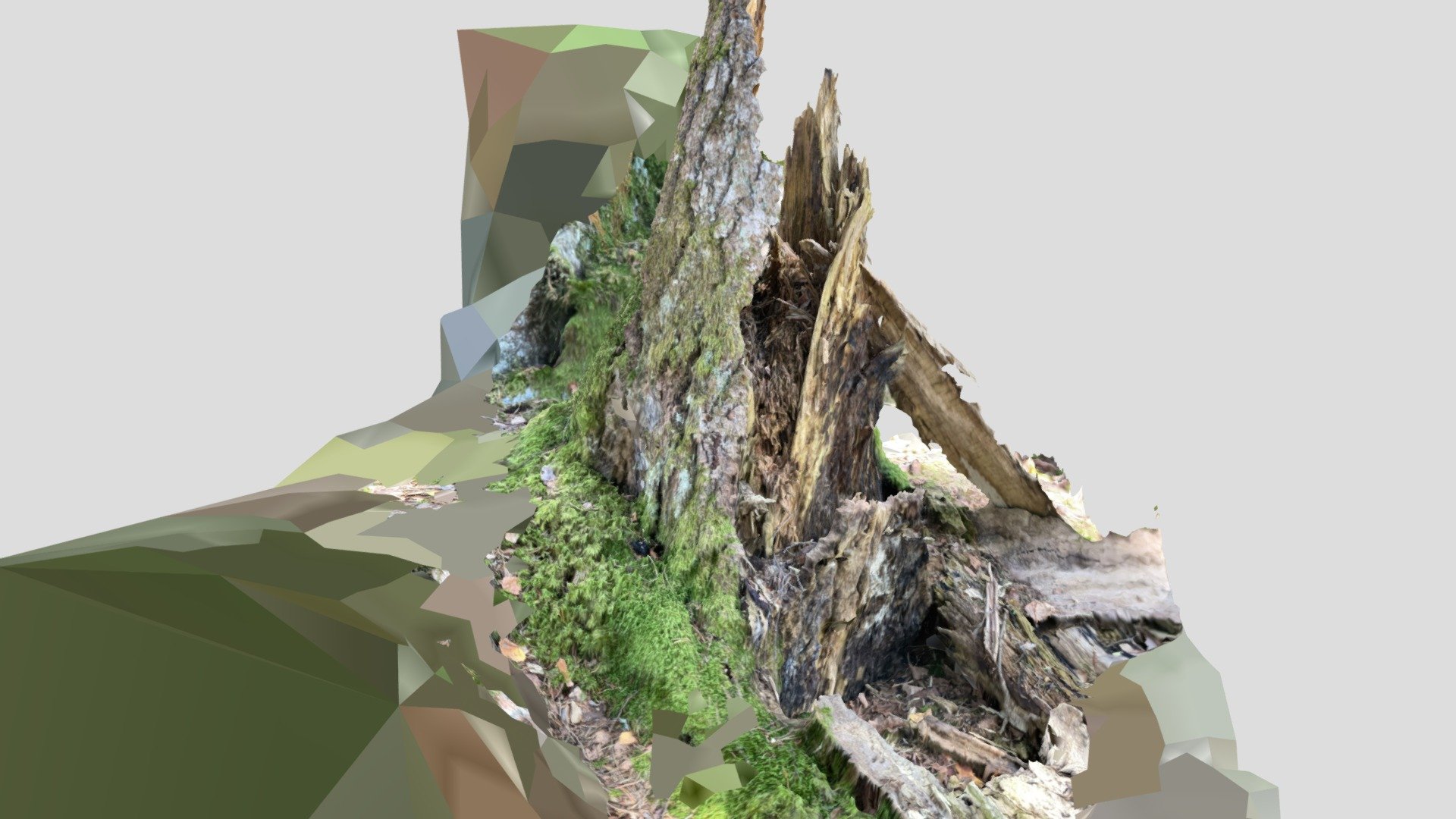 Stump - Forest - Download Free 3D model by Majzim [61eac73] - Sketchfab