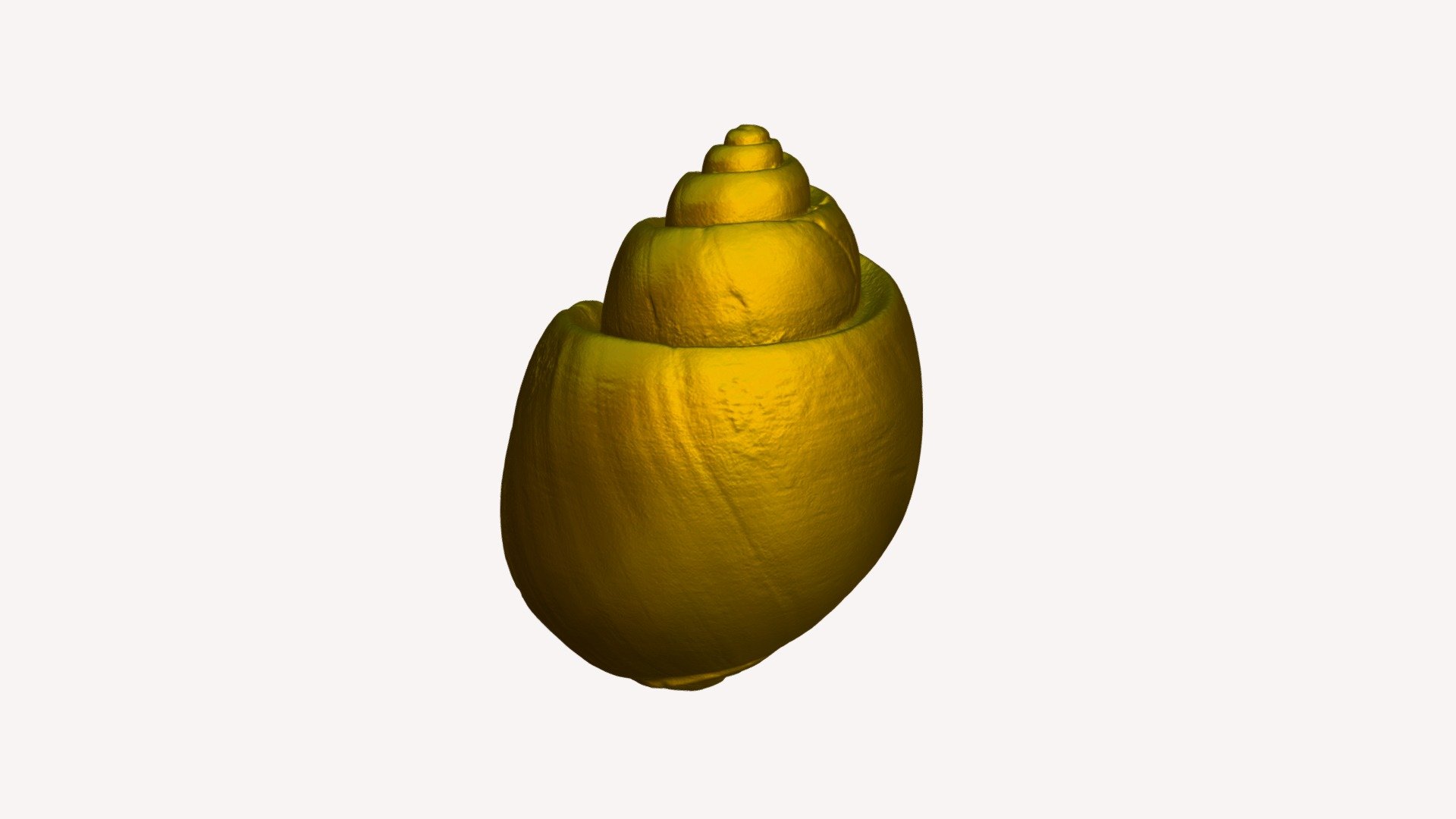 Sea Snail - Download Free 3D model by Thunk3D 3D Scanner (@Lily.Qin1 ...