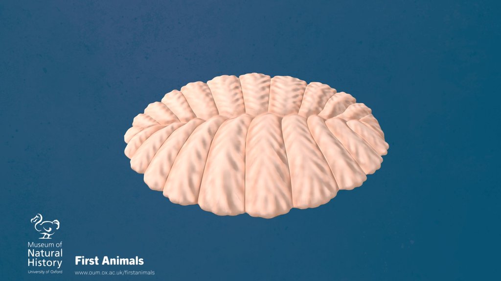 First Animals - A 3D model collection by Oxford University Museum of ...