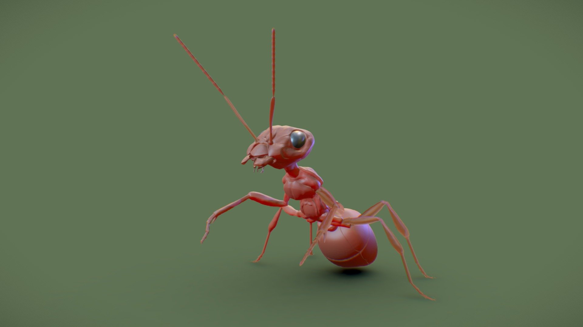 Ant - Buy Royalty Free 3D model by Sanya Laneev (@lansvision2) [61ee521 ...