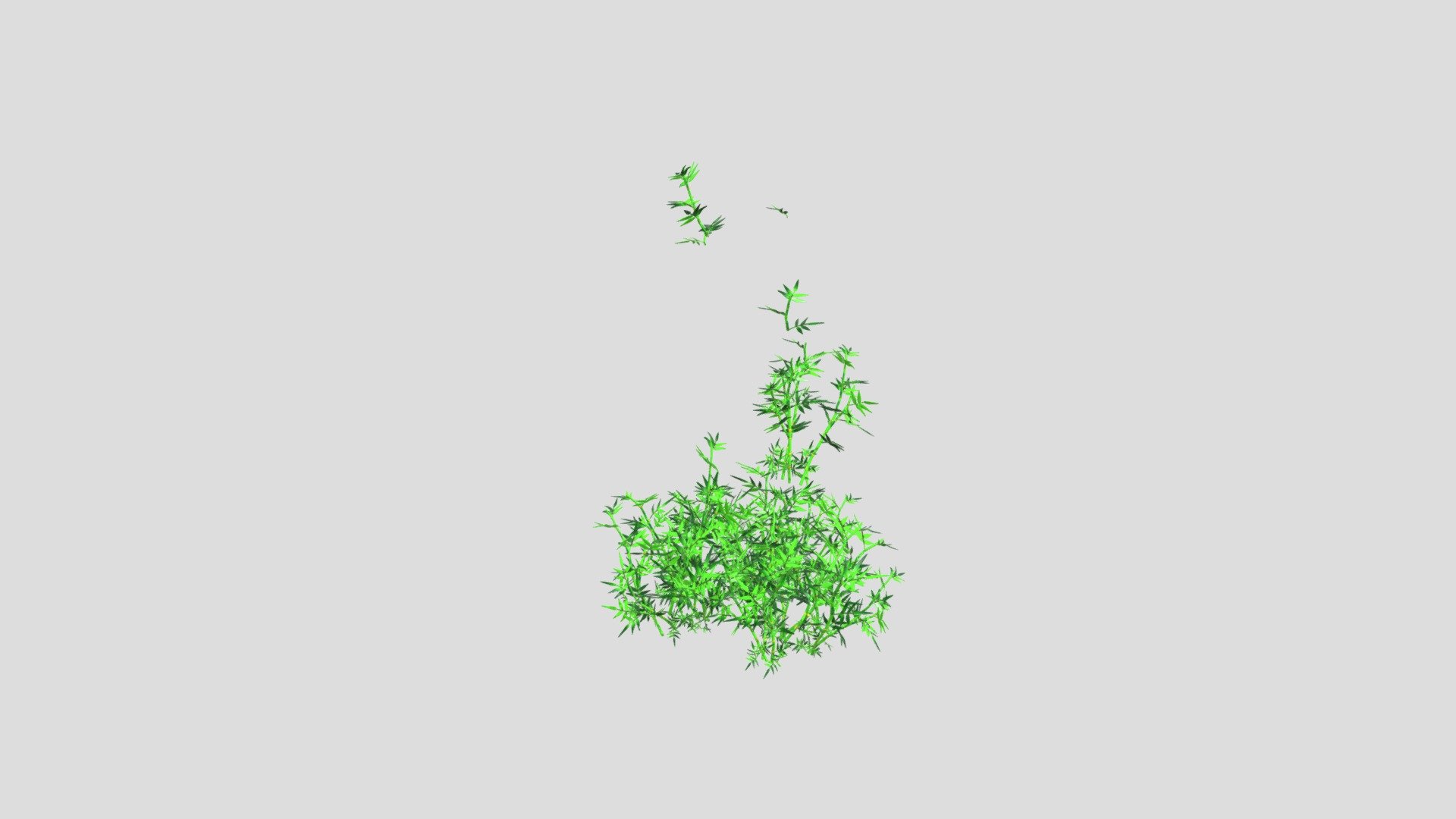 Bamboo Bush - Download Free 3D model by vtienluong [61ef053] - Sketchfab