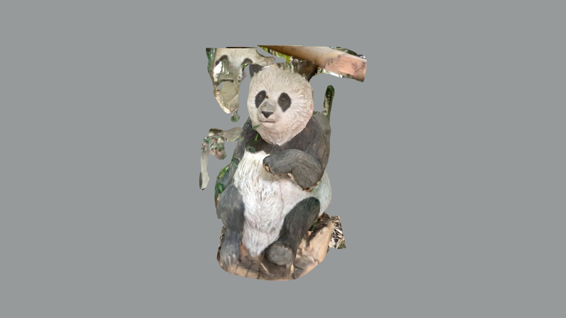 Panda - Download Free 3D model by mjoshc22 [61f4cbb] - Sketchfab