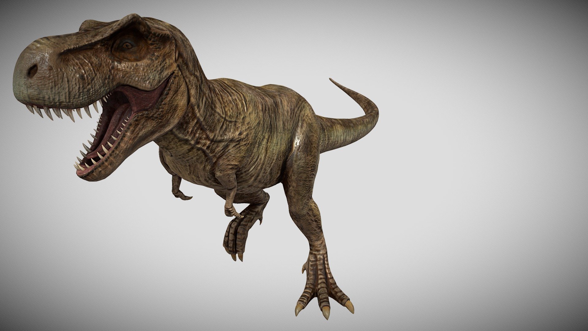 TYRANNOSAURUS REX - 3D model by M Junia (@majedjunia) [620191f] - Sketchfab