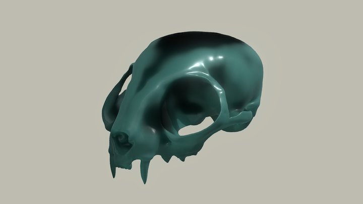 Parnmkie 3D models - Sketchfab