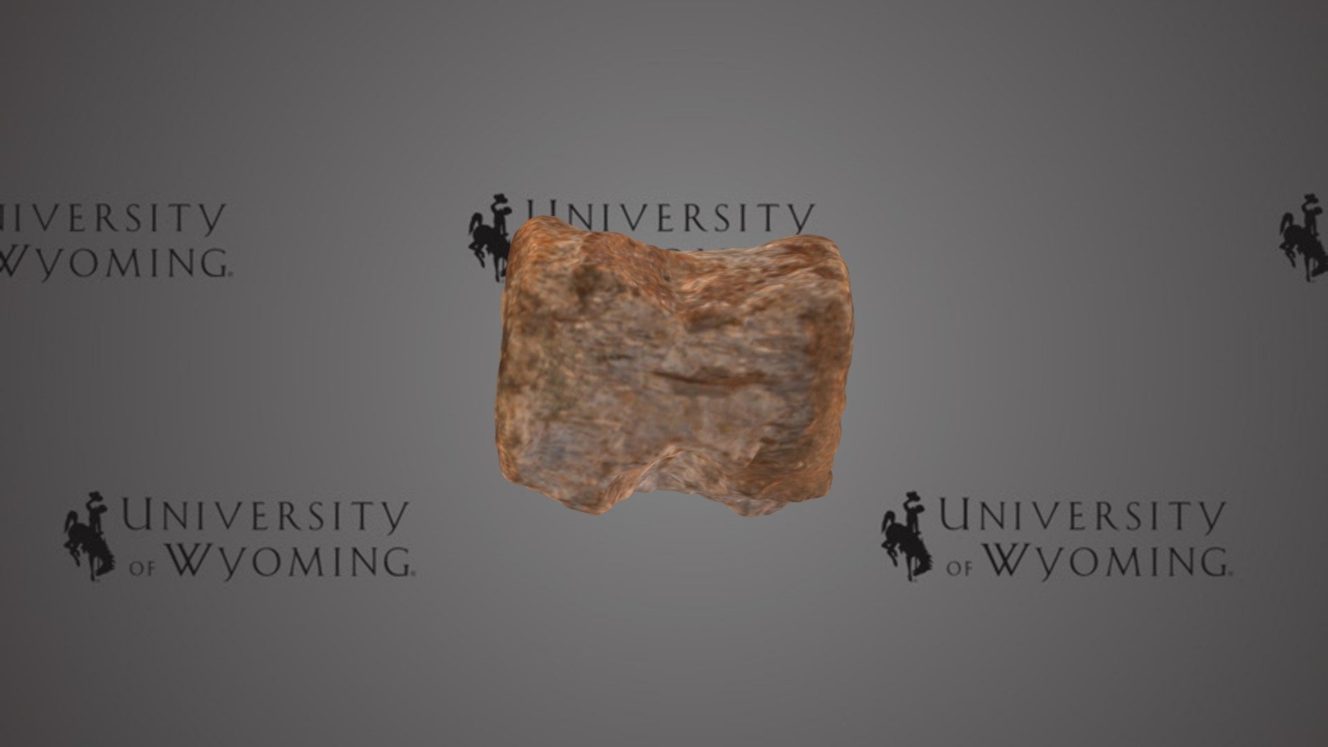 UW 15938 - Pantosaurus striatus, Vertebra - Download Free 3D model by ...