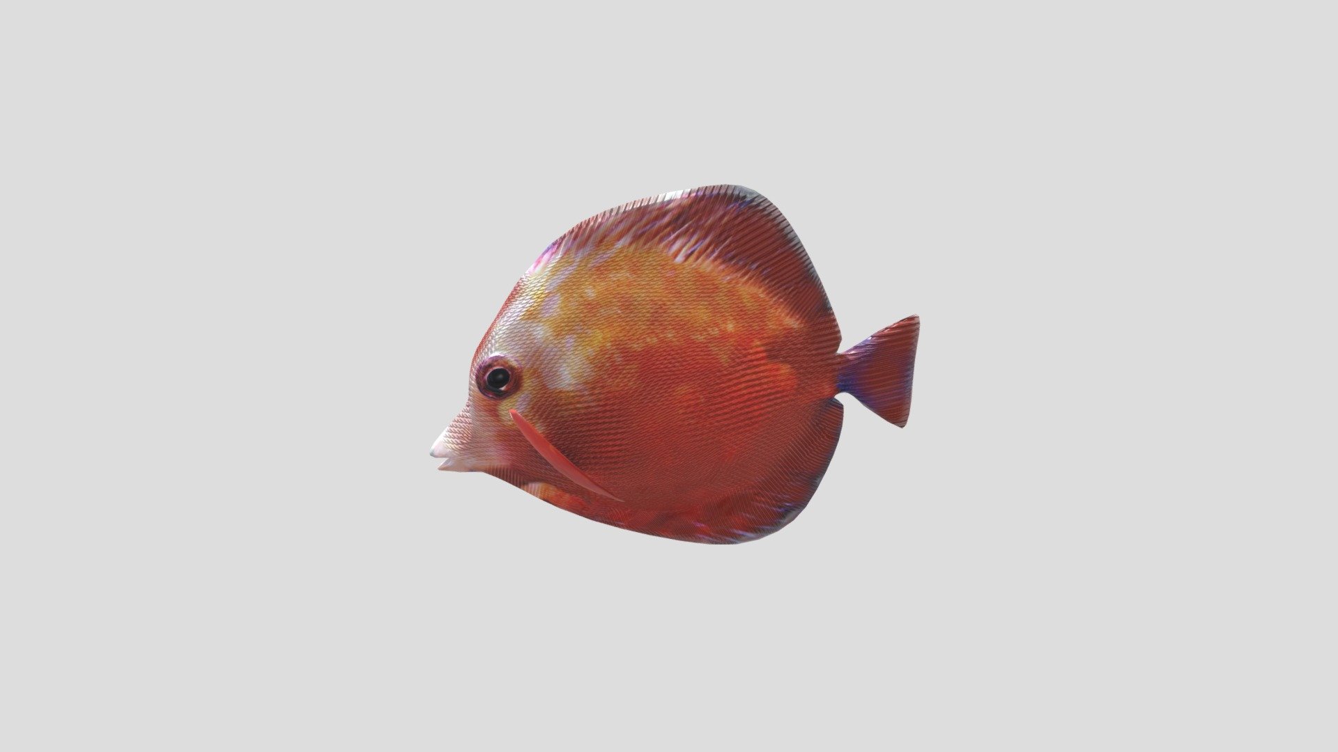 Fish - Dearing - 3D model by Samuel Dearing (@sdearing) [621ae21 ...