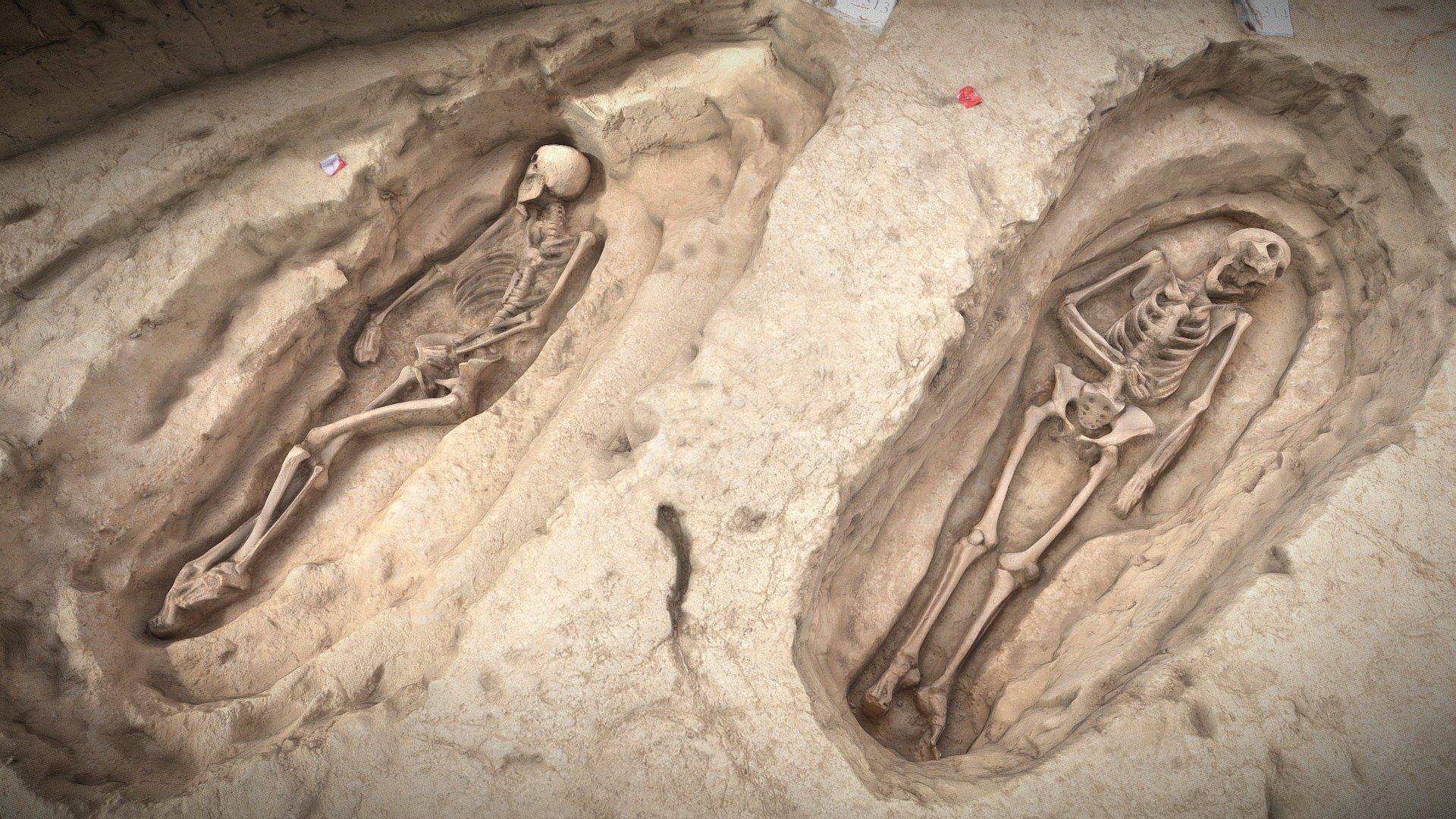 Two graves (L 313, 314) - 3D model by Archaeological Expertise ...