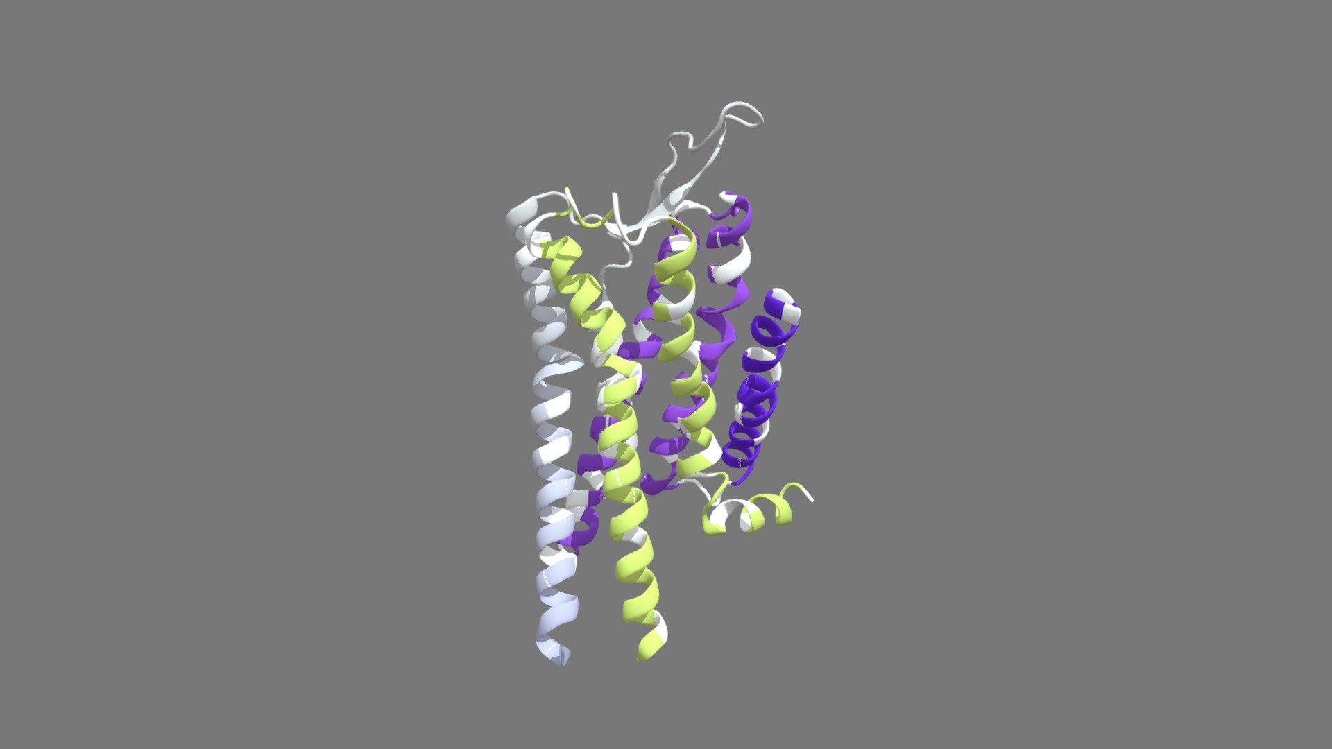 GPCR Protein- Basic Structure - 3D model by L4vy_s [6226d72] - Sketchfab