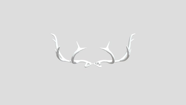 Antlers 3D models - Sketchfab