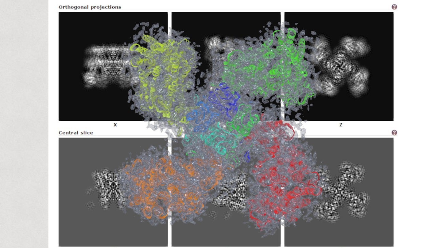 EMDB › EMD-6689 - 3D model by Interactive 3D Data (@proteinsimulation ...