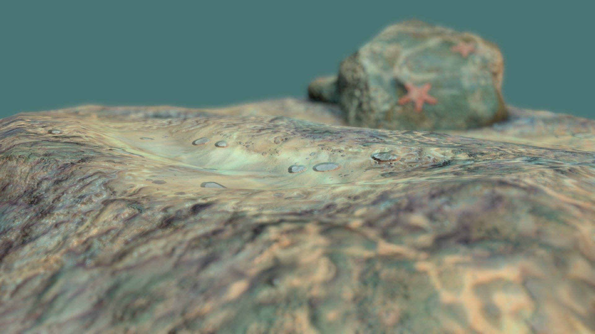 Ocean Floor Scene - Download Free 3D model by kand8998 (@KaitlynAndrus ...