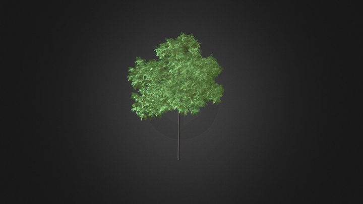 Conker 3D models - Sketchfab