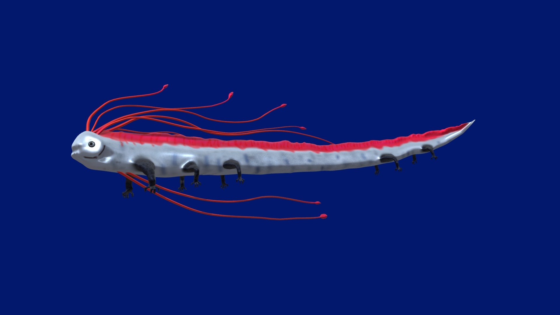 Regalecus russelli リュウグウノツカイ - 3D model by surprizing_ghost [623bbfb ...