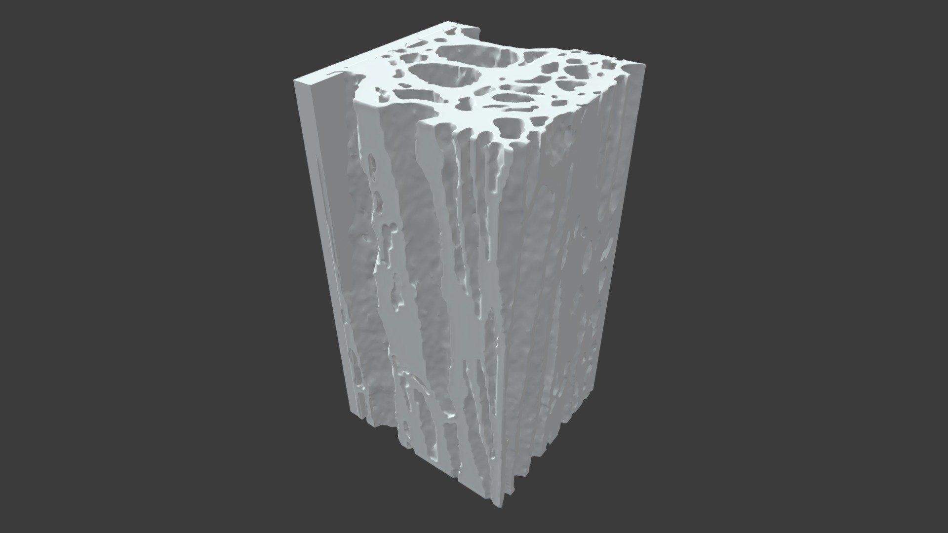 White Ash (Fraxinus americana) root X-ray CT - 3D model by ...