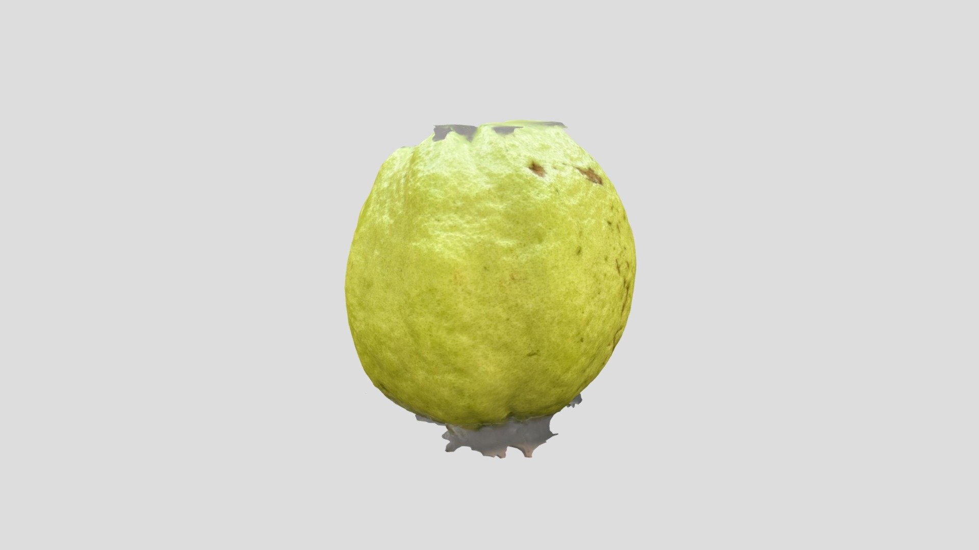 Guava_GH - 3D model by nuttanichar66 [6244b61] - Sketchfab