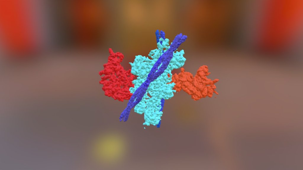 EMDB › EMD-8164 - 3D model by Interactive 3D Data (@proteinsimulation ...