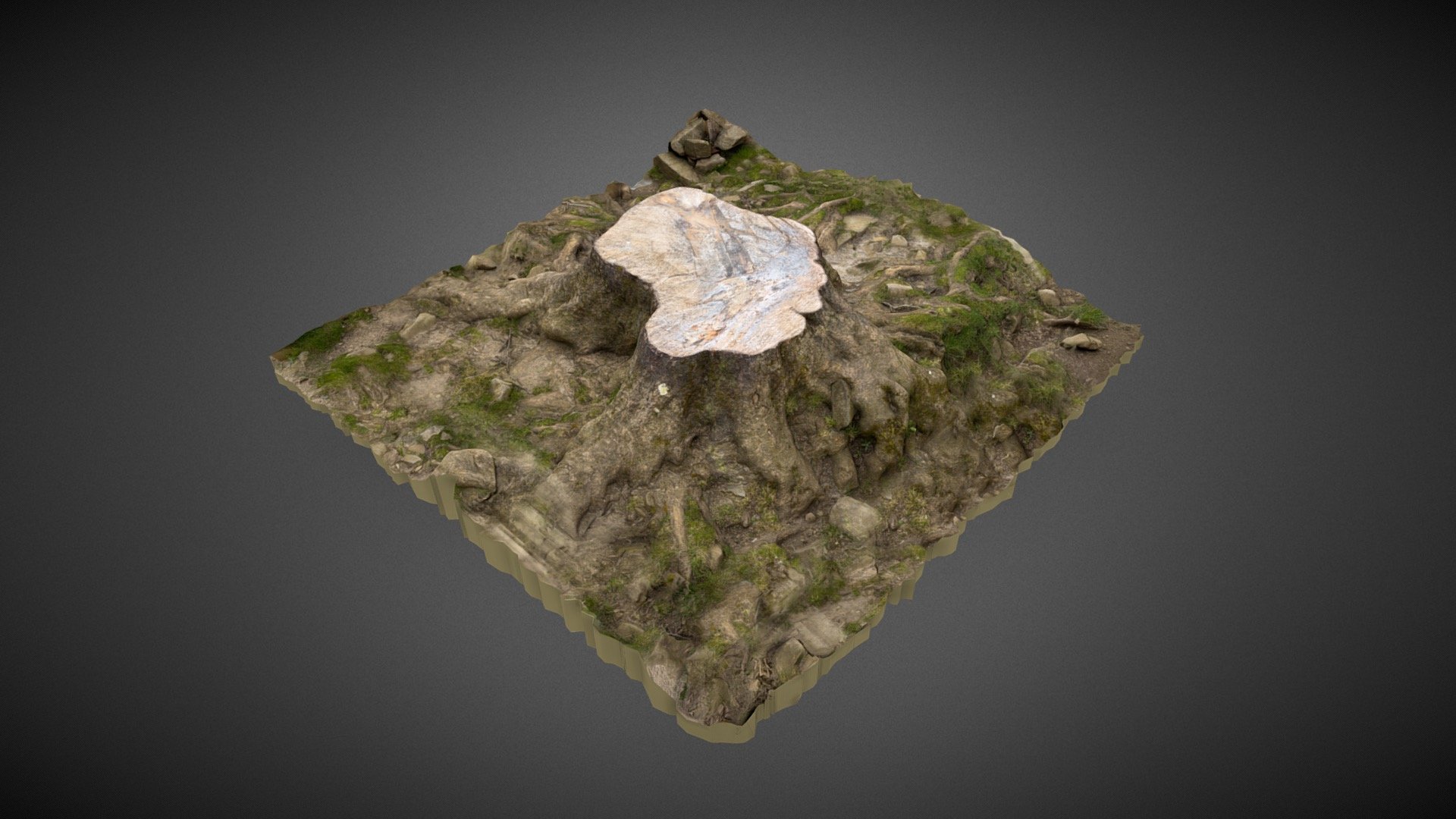 Sycamore Gap Tree (Stump) - Hadrian's Wall - Download Free 3D model by ...