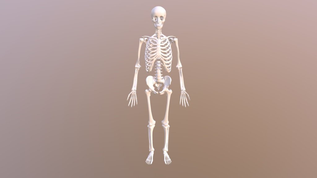OC - 3D model by PhoenixSpace (@Stargamer285) [625d895] - Sketchfab