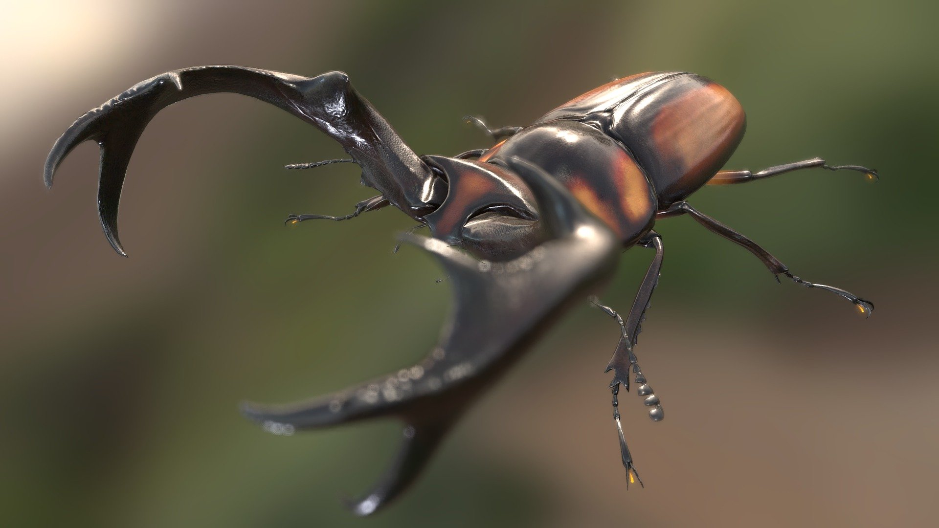 Rhaetulus crenatus speciosus - Buy Royalty Free 3D model by Boycraft ...