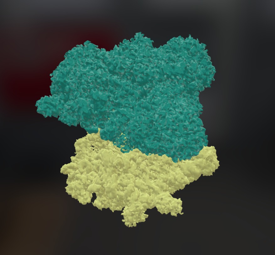 EMDB › EMD-3551 - 3D model by Interactive 3D Data (@proteinsimulation ...