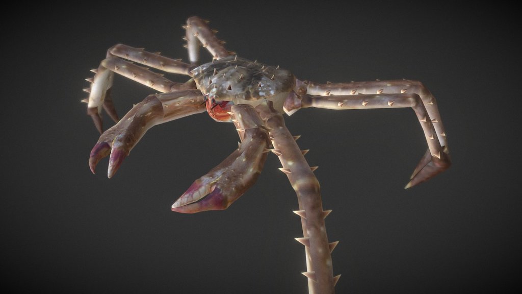 King Crab - 3D model by YOURS (@double2) [6274c92] - Sketchfab