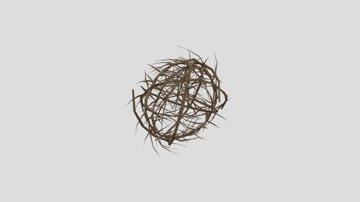 Tumbleweed 3D models - Sketchfab