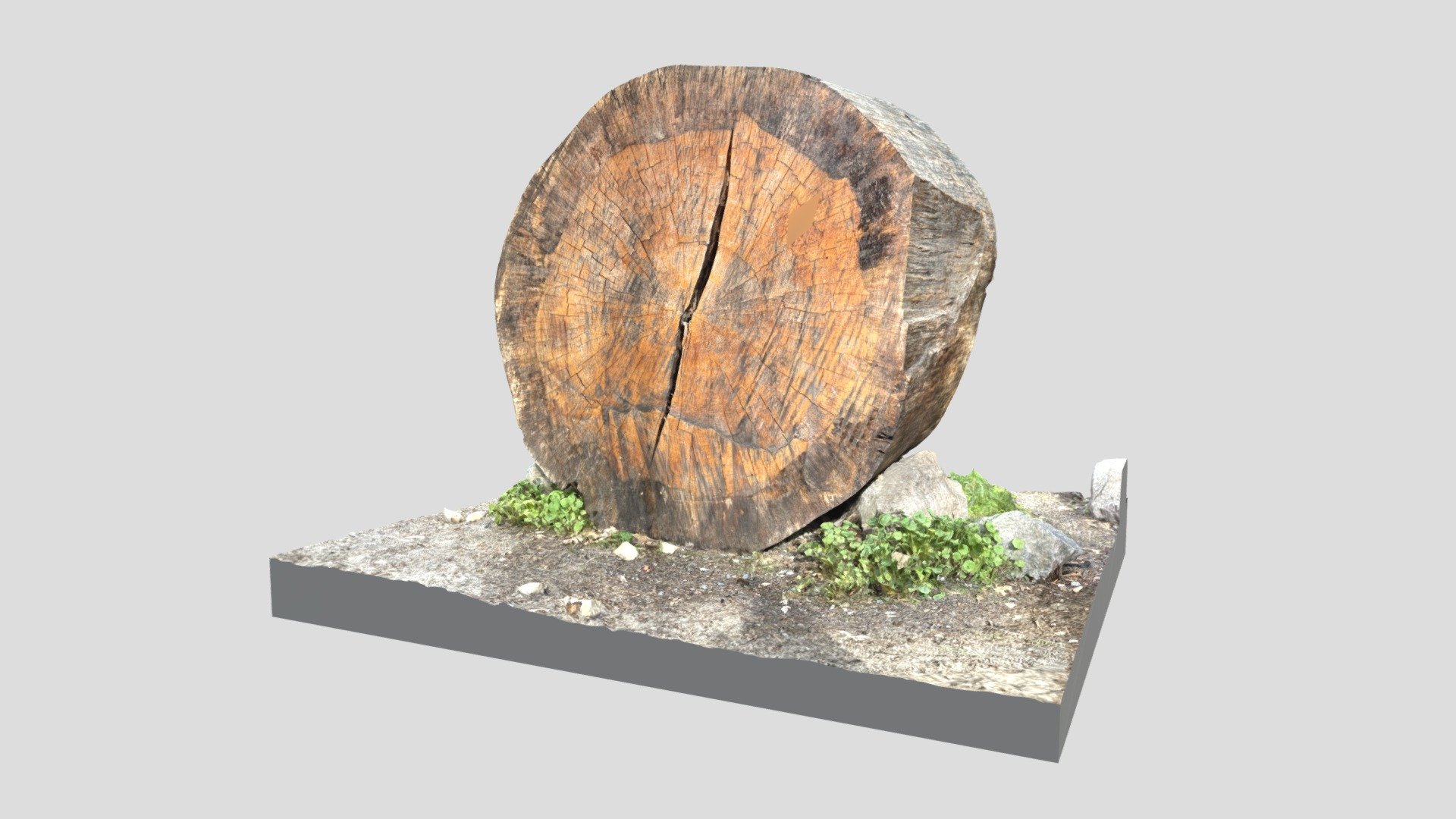 Yosemite Cut Down Tree - Download Free 3D model by garagestudios ...
