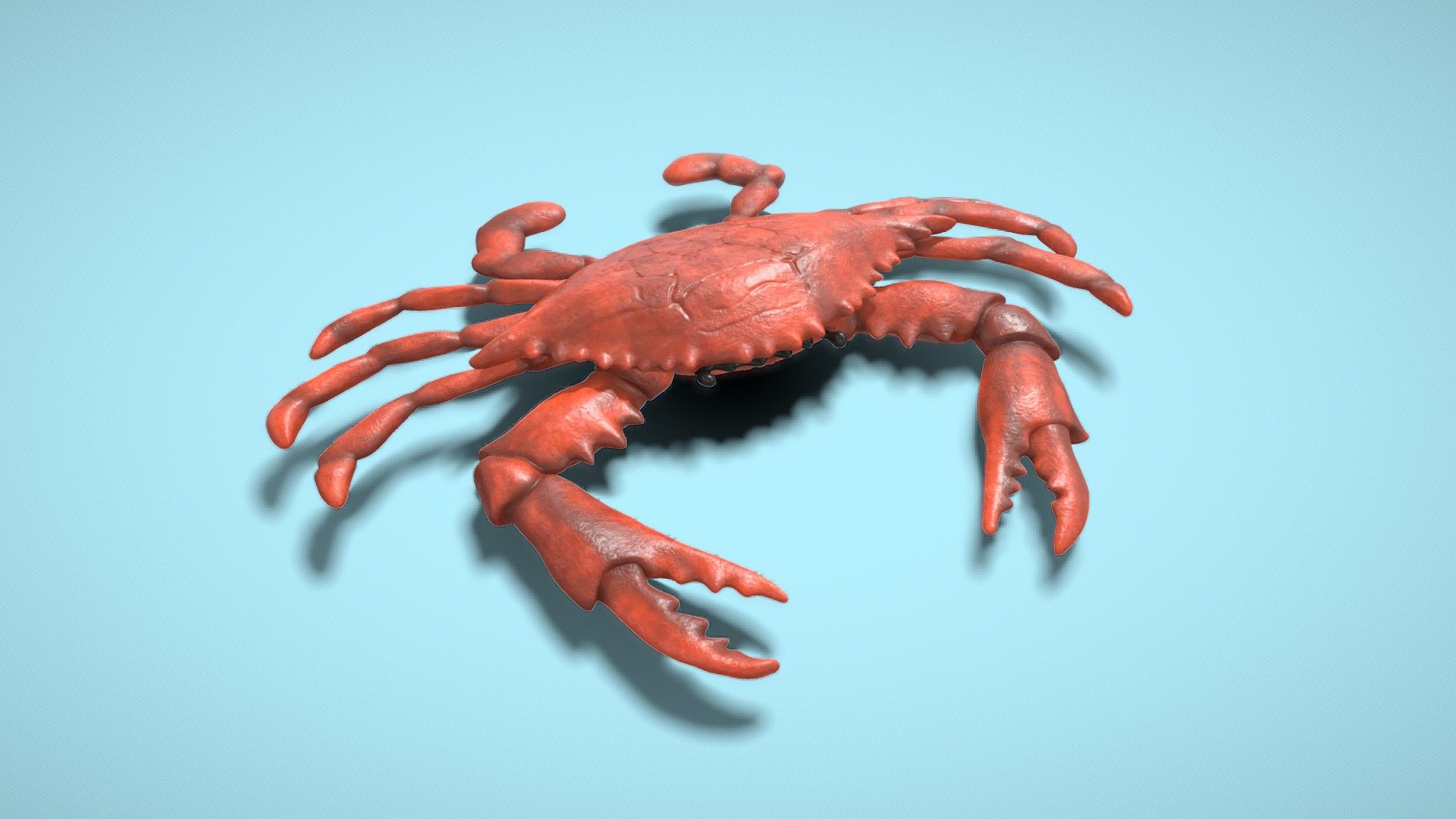 Crab - 3D model by dismeon [628b76b] - Sketchfab