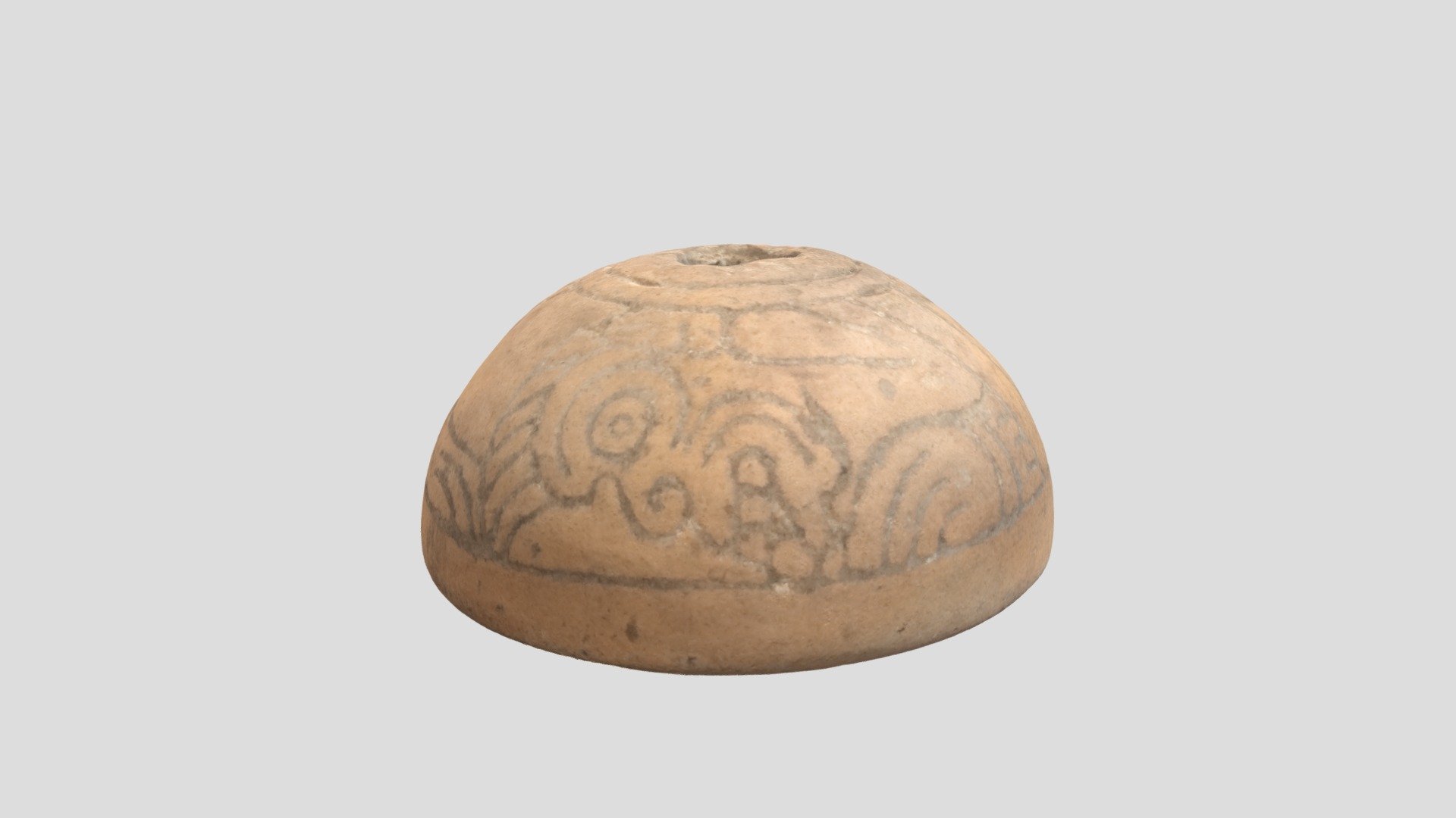 YPM ANT.135963 - Download Free 3D model by Yale Peabody Museum ...