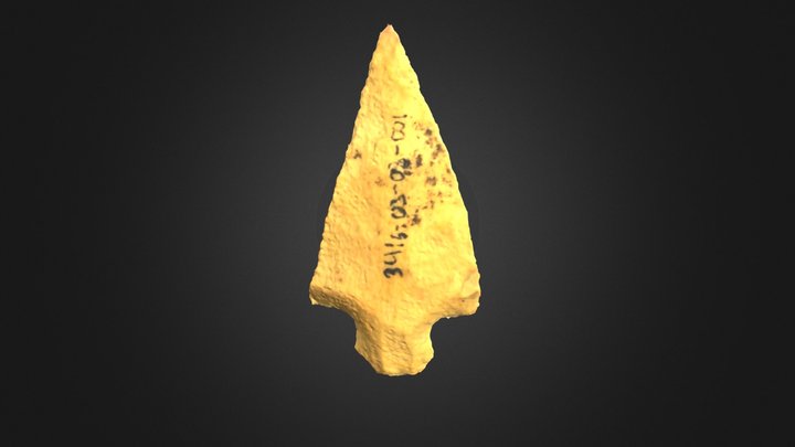Arrowhead 3D models - Sketchfab