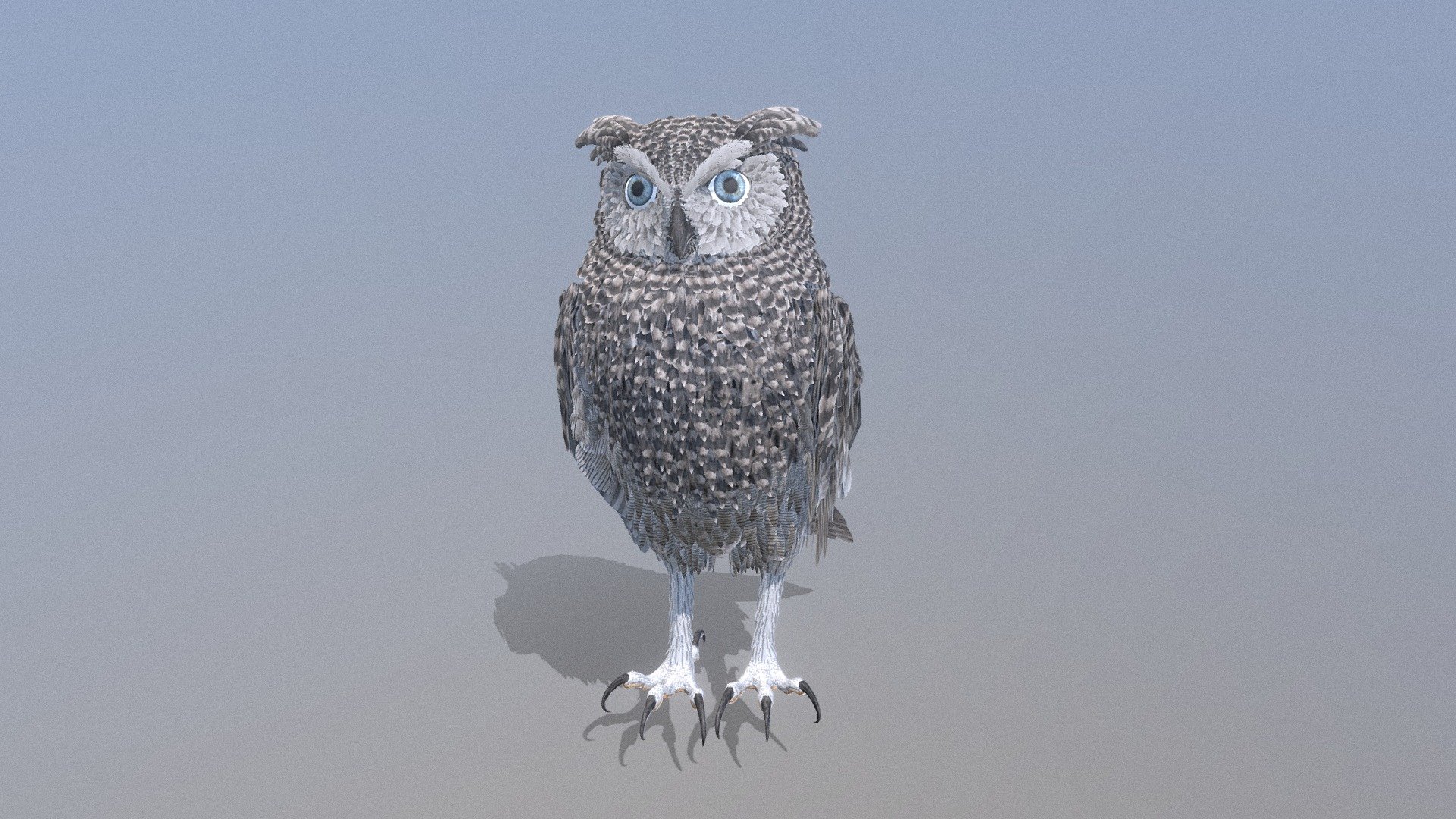 GRAY OWL SNEAKING OBSERVING IDLING Pbr Fbx - 3D model by SLUTTY BABE ...