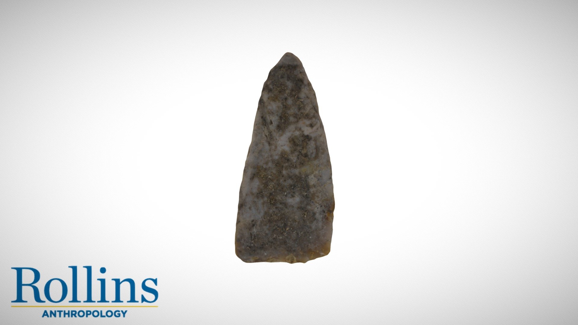Shell Island Knife - 3D model by Rollins College Archaeology (@rollins ...