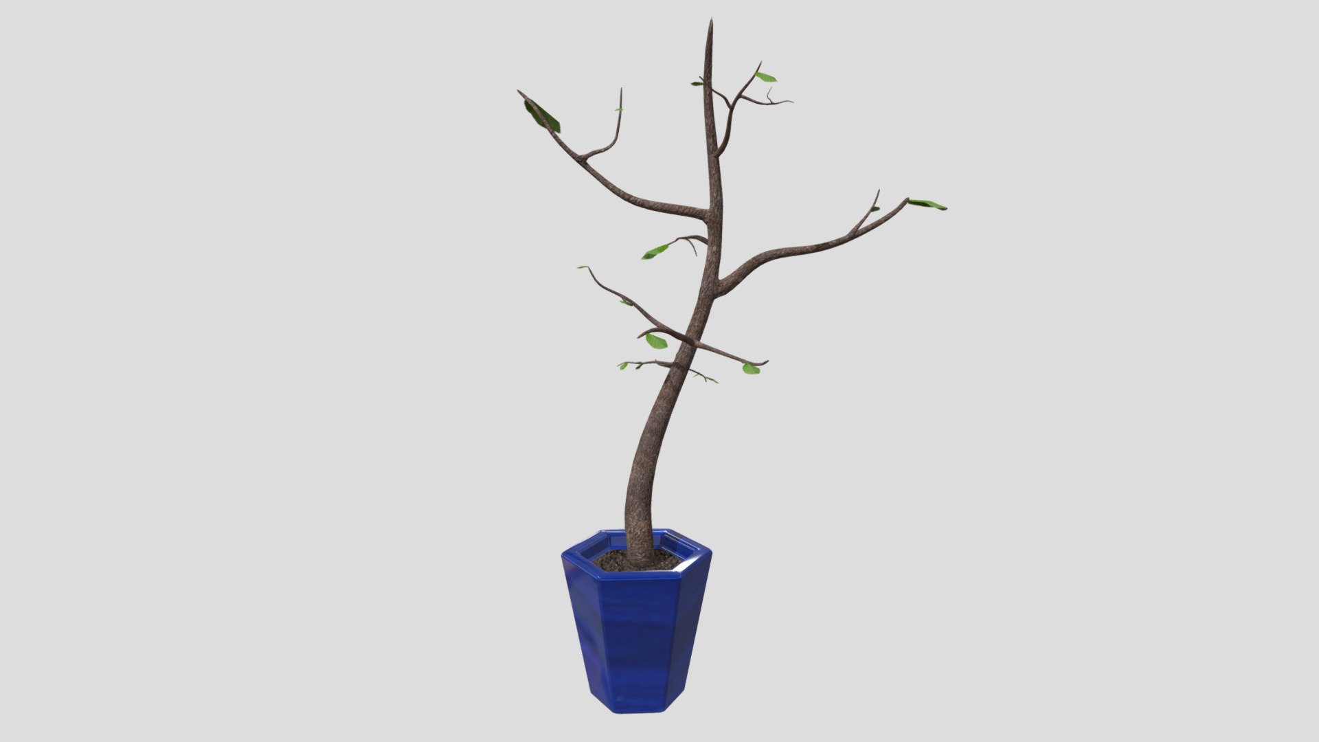 Rusk_Nathan_ID_wk9_Plant - Download Free 3D model by nrusk [62ace3d ...