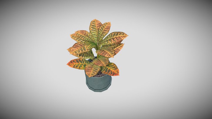 Petra 3D models - Sketchfab
