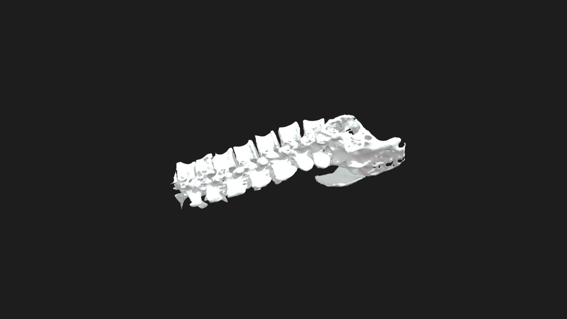 T12 A2 - Download Free 3D model by martinarossitto [62ae375] - Sketchfab