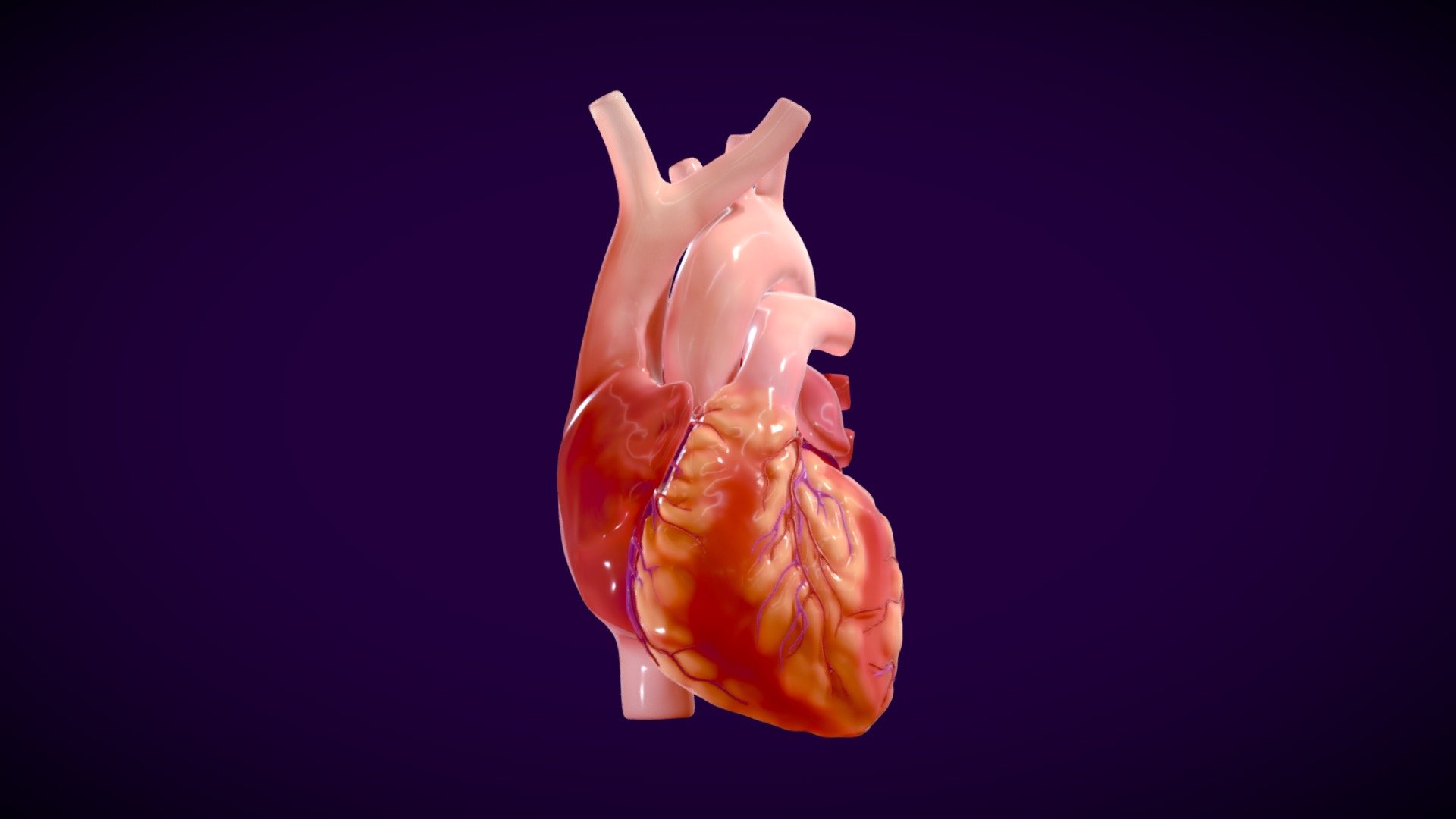 Heart Full View - 3D model by AUmedart [62b4615] - Sketchfab