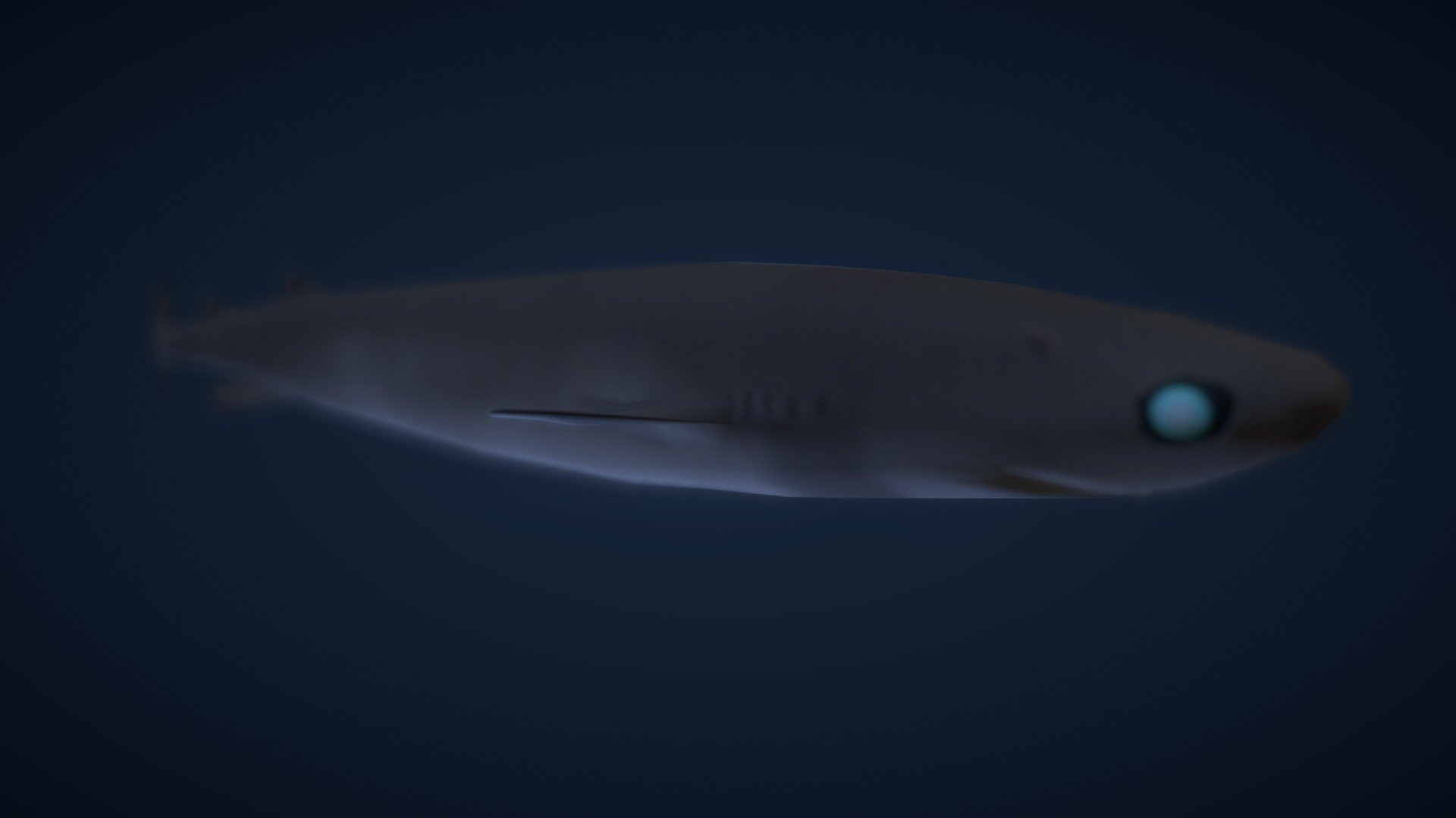 Cookiecutter Shark - 3D model by CatfishYAY [62c313a] - Sketchfab