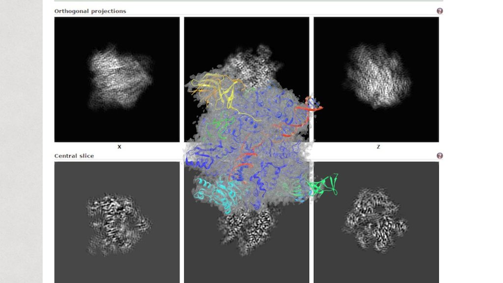EMDB › EMD-3447 - 3D model by Interactive 3D Data (@proteinsimulation ...