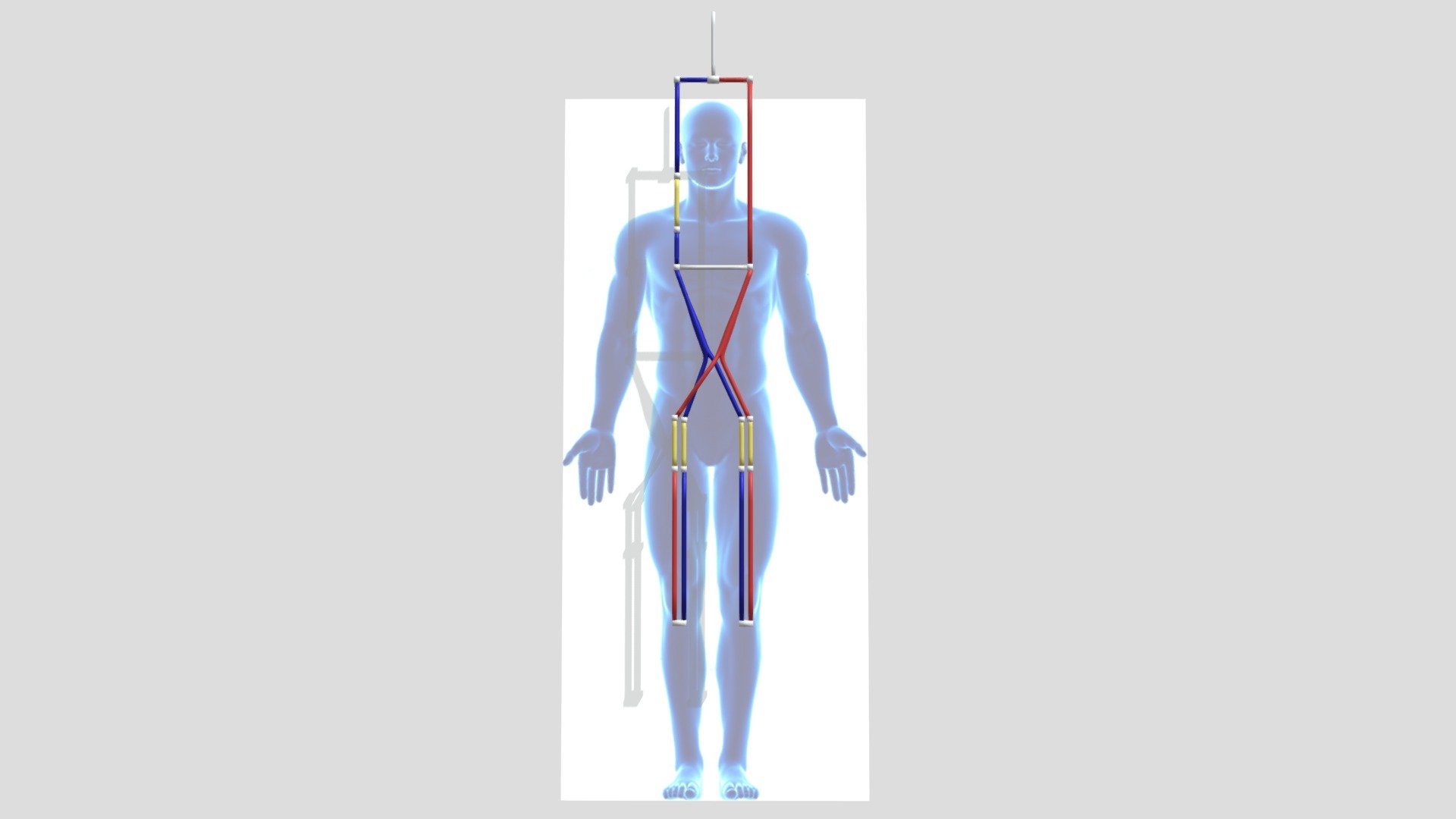 ECMO Simulator - 3D model by Kuchumov [62c9fa5] - Sketchfab