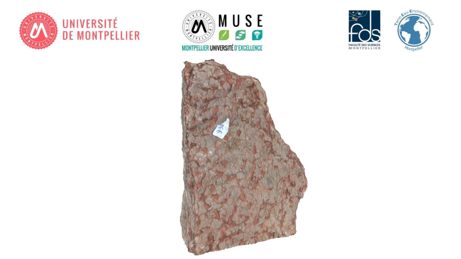 Brèche cataclastique/Cataclastic breccia n°0990 - 3D model by ...